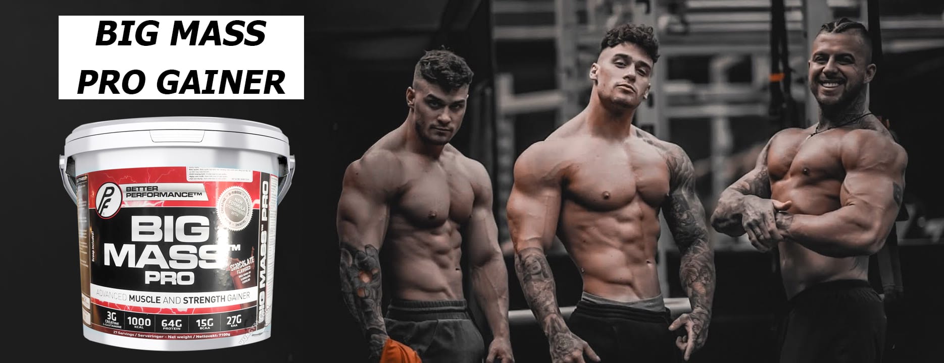 Proteinfabrikken - Big Mass Pro Gainer (7.1KG) - Vựa Gym