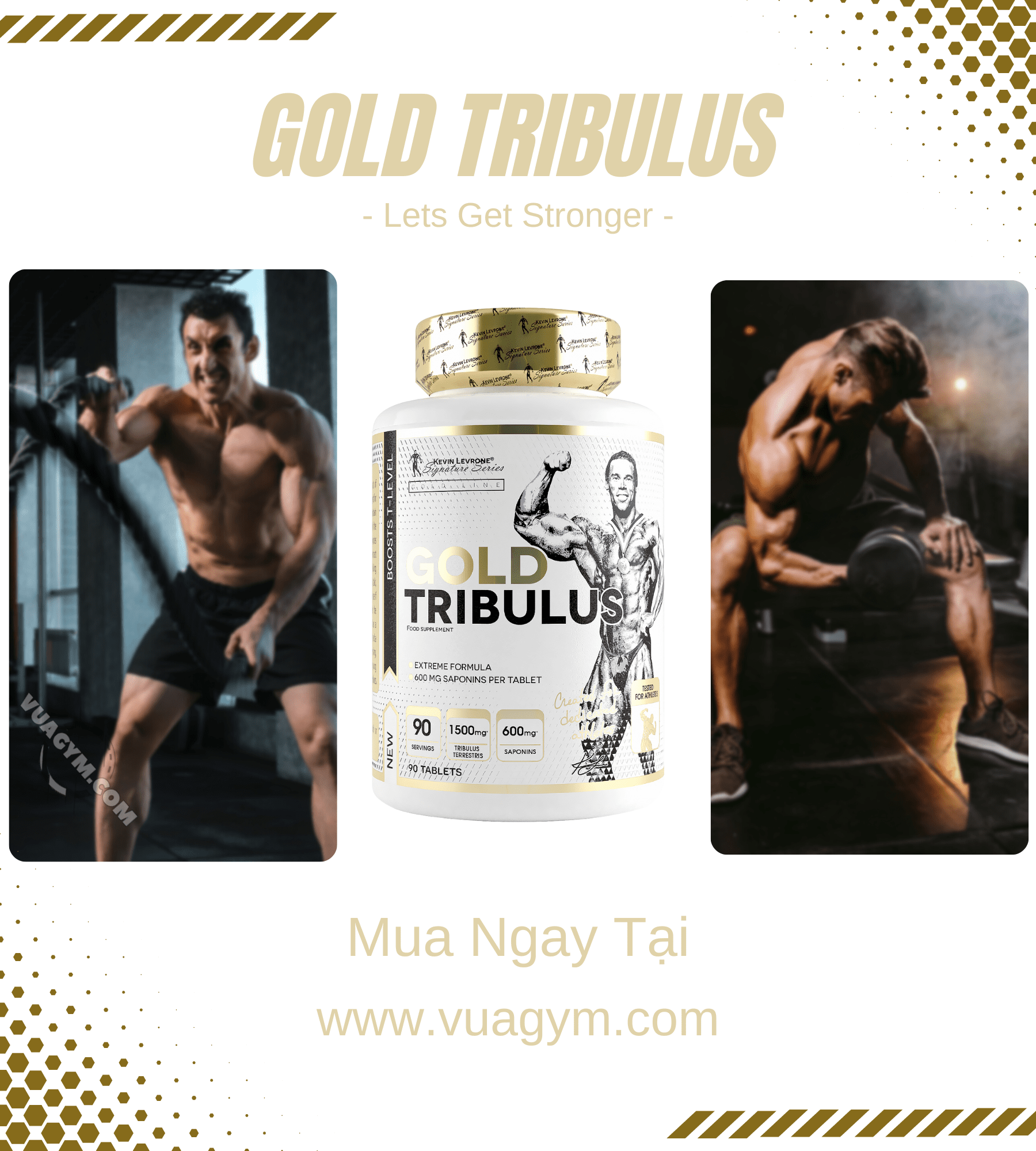 Kevin Levrone - GOLD Tribulus (90 viên) - Vựa Gym