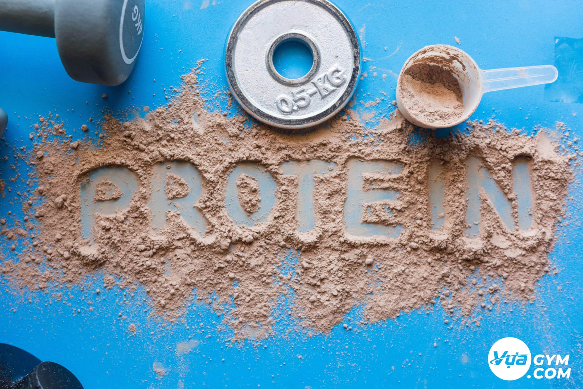 Whey Protein có ảnh hưởng đến gan không? | Vựa Gym